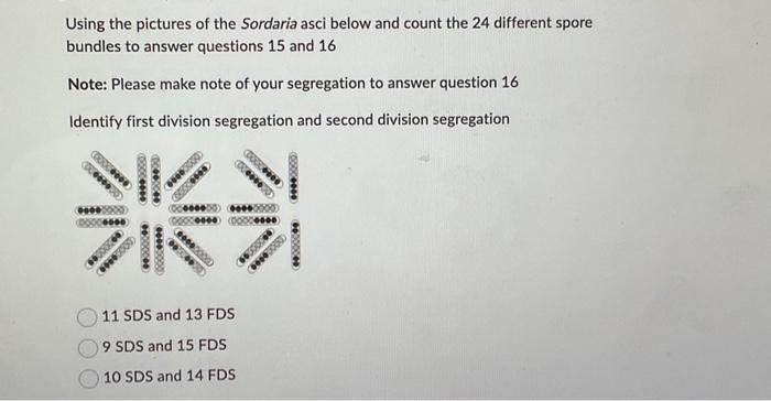 Solved Using the pictures of the Sordaria asci below and | Chegg.com