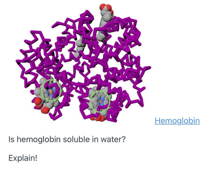 Solved Hemoglobin Is hemoglobin soluble in water? Explain! | Chegg.com