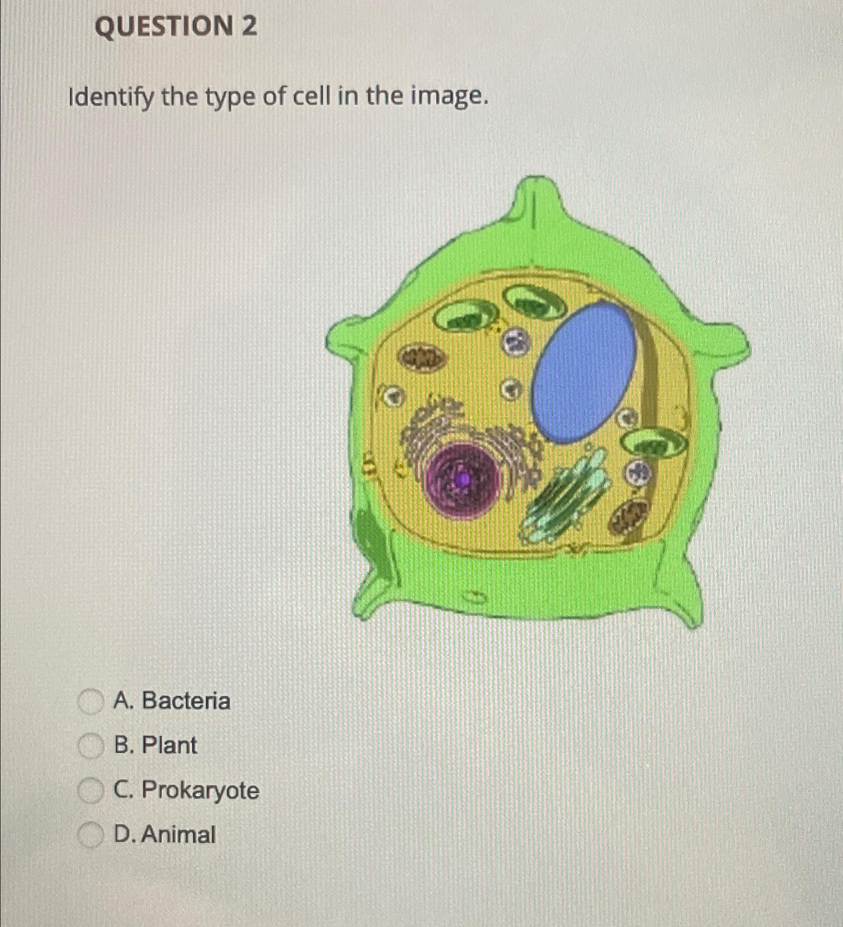 Solved QUESTION 2Identify the type of cell in the image.A. | Chegg.com