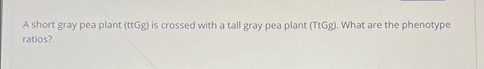 Solved A short gray pea plant (ttGg) ﻿is crossed with a tall | Chegg.com