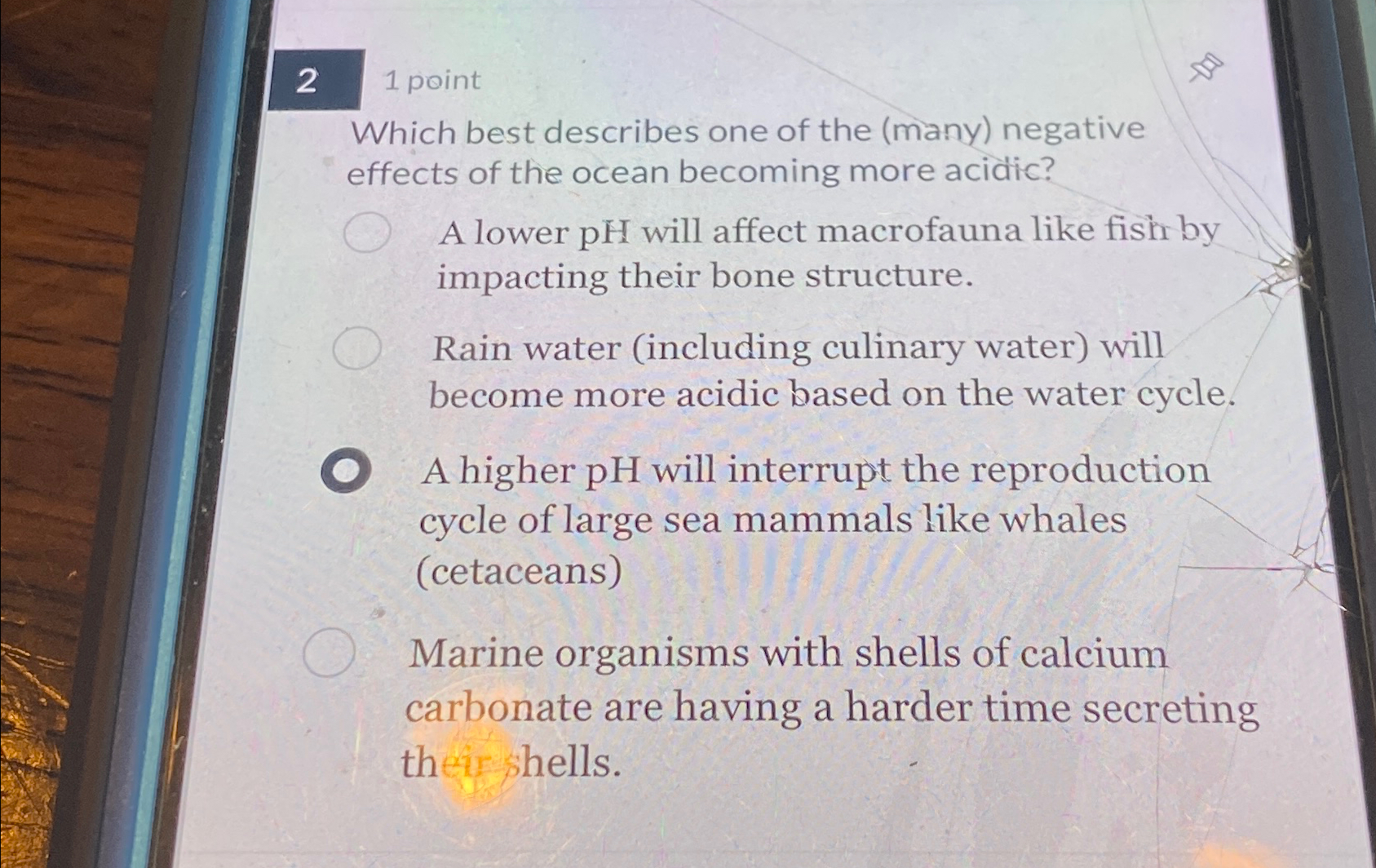 Solved 21 ﻿pointWhich best describes one of the (many) | Chegg.com