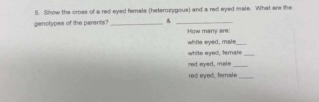 Show the cross of a red eyed female (heterozygous) | Chegg.com