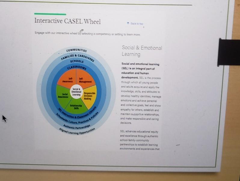 Solved Being bright is not enough. Examine the SEL chart and | Chegg.com