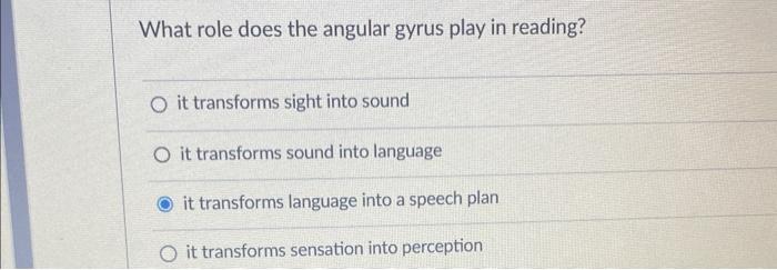 Solved What role does the angular gyrus play in reading? it | Chegg.com