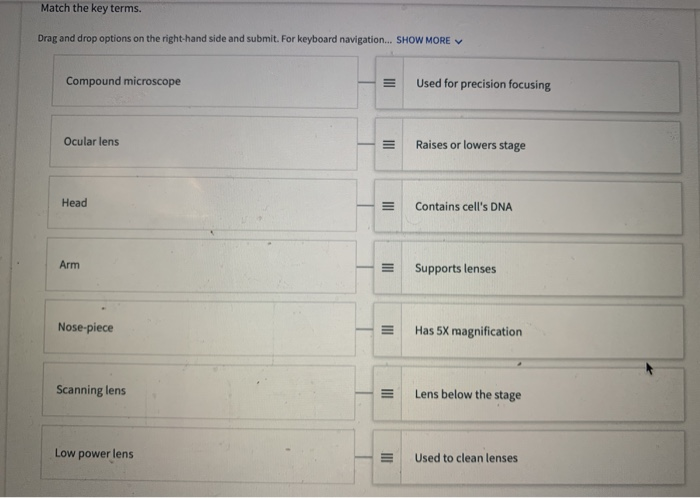 Solved Match the key terms. Drag and drop options on the | Chegg.com