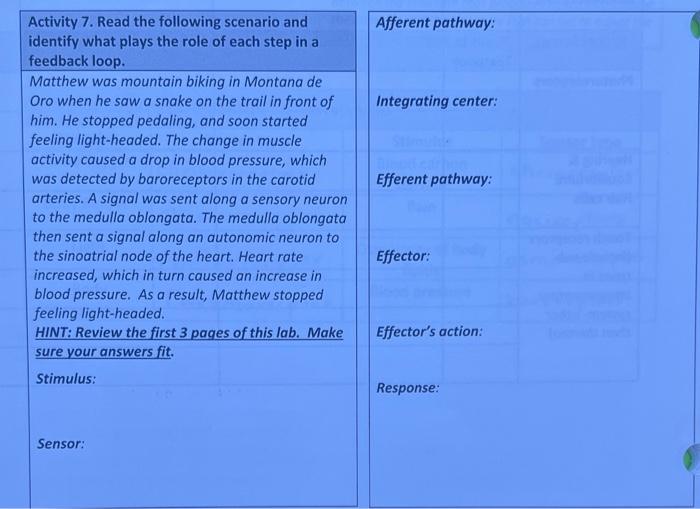 Solved Activity 7. Read the following scenario and identify | Chegg.com