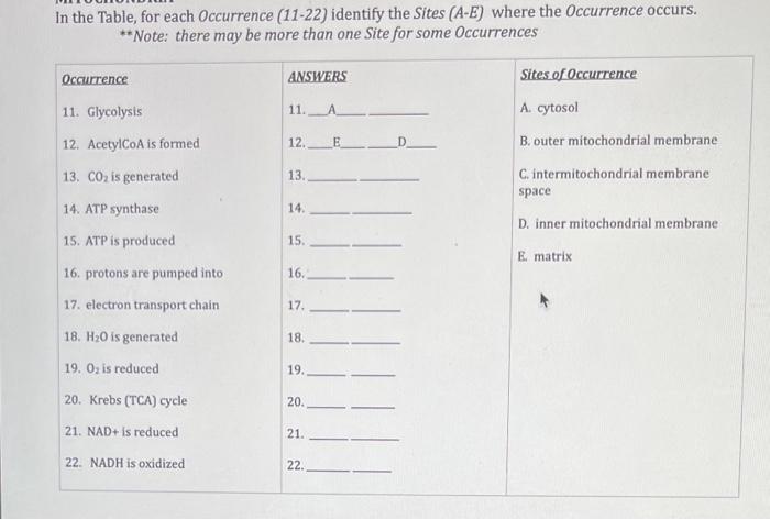 Solved In the Table, for each Occurrence (11-22) identify | Chegg.com