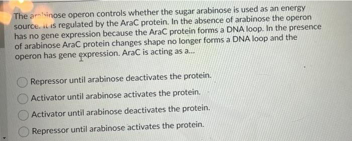Solved The arabinose operon controls whether the sugar | Chegg.com