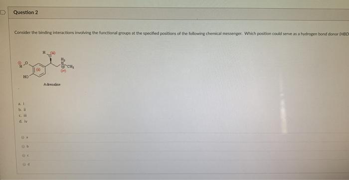 Solved consider the binding interactions involving the | Chegg.com