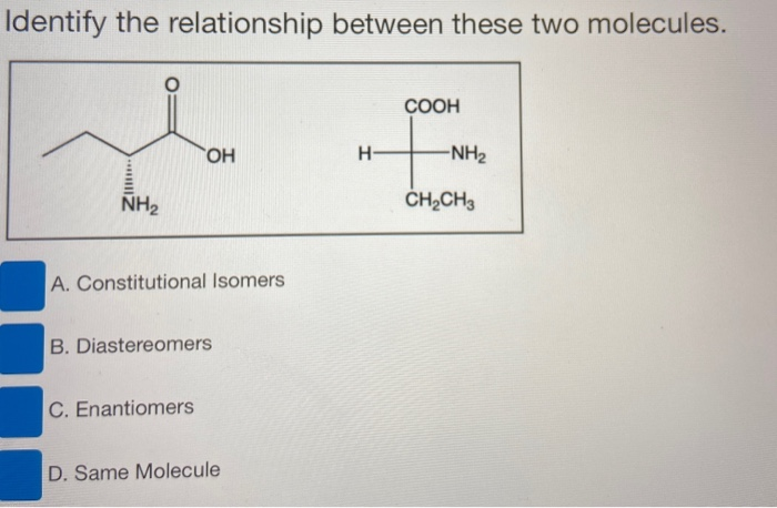 Solved Identify the relationship between these two | Chegg.com