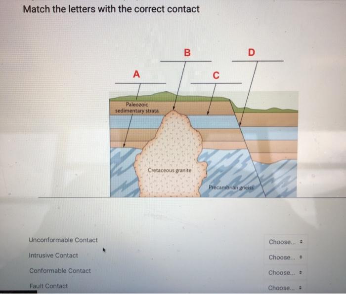 Solved Match the letters with the correct contact B D A с | Chegg.com
