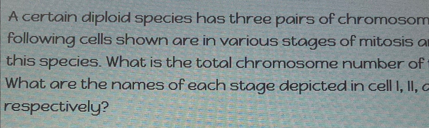 Solved A certain diploid species has three pairs of | Chegg.com