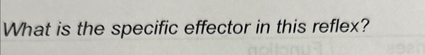 Solved What is the specific effector in this reflex? | Chegg.com