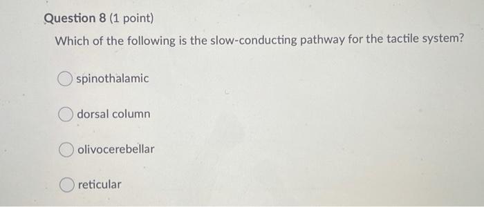 Solved Question 8 (1 point) Which of the following is the | Chegg.com