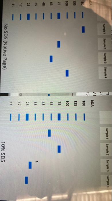 Solved m Sample 1 Sample 2 Sample 3 Sample 4 Sample 1 Sample | Chegg.com