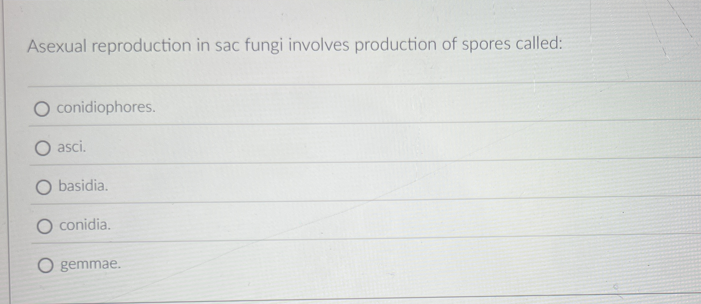 Solved Asexual reproduction in sac fungi involves production | Chegg.com
