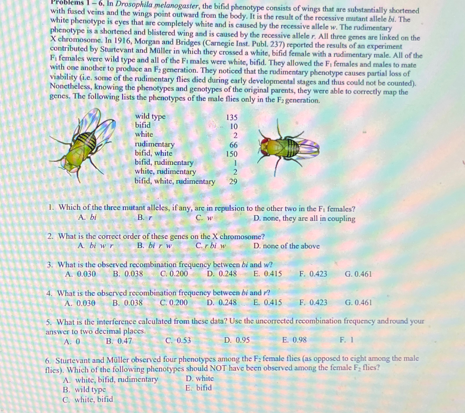 Solved Problems 1-6. ﻿In Drosophila melanogaster, the bifid | Chegg.com