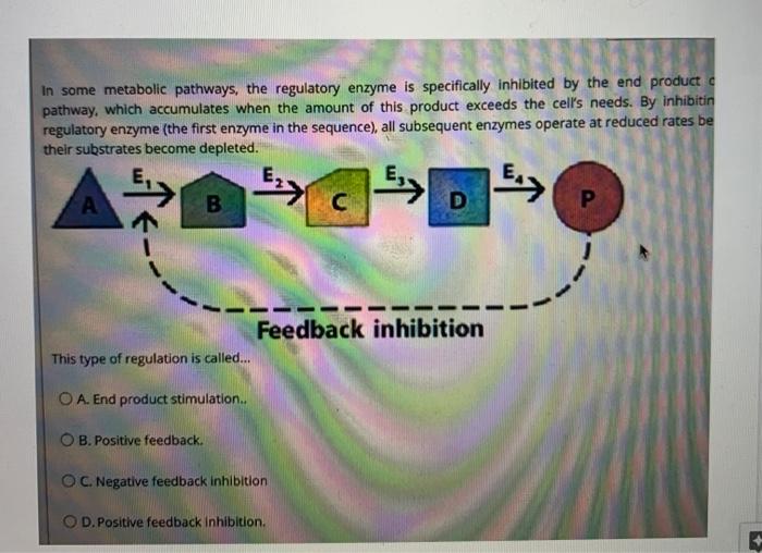 Solved In some metabolic pathways, the regulatory enzyme is | Chegg.com