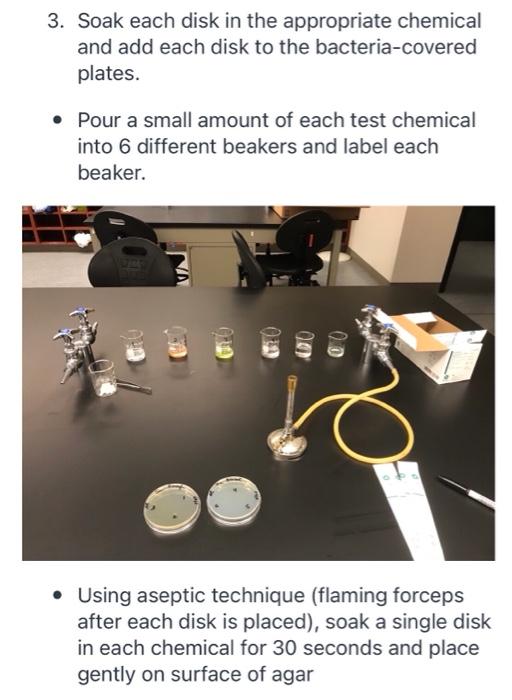 Solved 3. Soak each disk in the appropriate chemical and add | Chegg.com