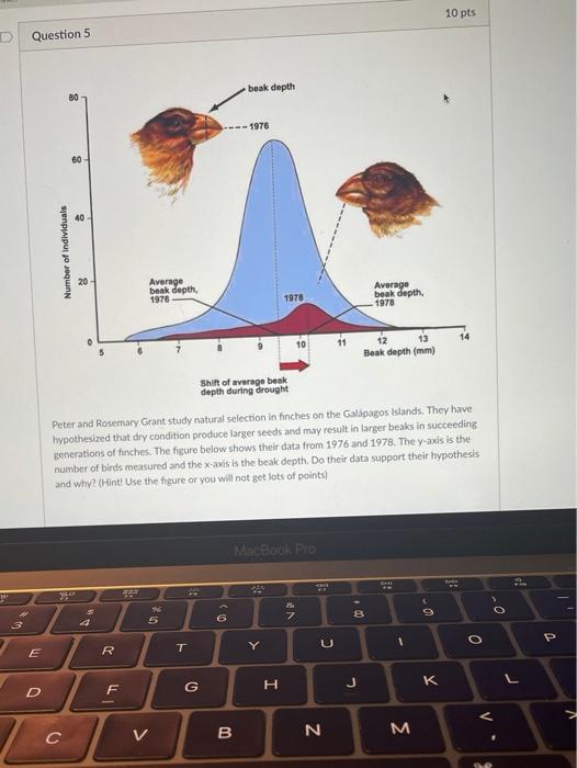 Solved 10 pts D Question 5 beak depth 80 - 1976 60 40 Number | Chegg.com