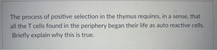 Solved The process of positive selection in the thymus | Chegg.com