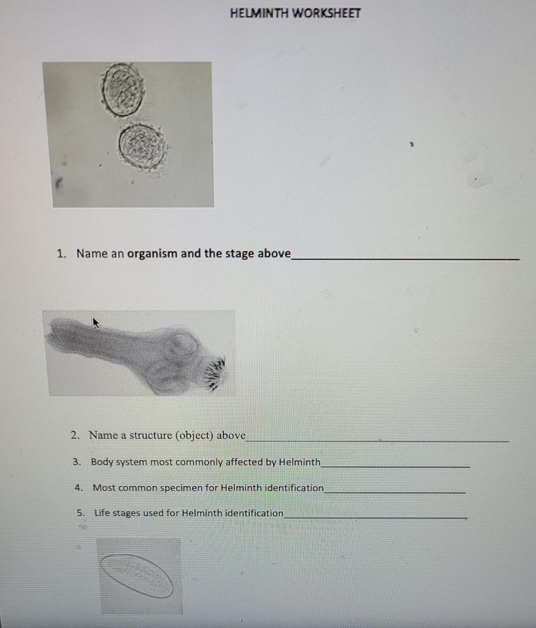 Solved HELMINTH WORKSHEET 1. Name an organism and the stage | Chegg.com
