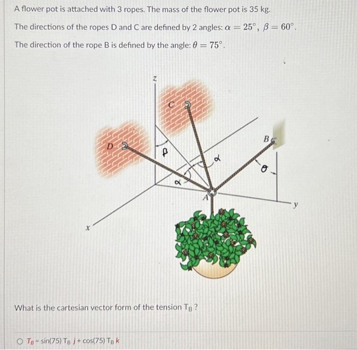 Solved A flower pot is attached with 3 ropes. The mass of | Chegg.com
