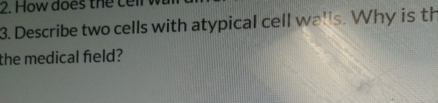 Solved 2. How does 3. Describe two cells with atypical cell | Chegg.com