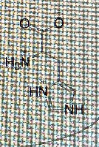 Solved Naming and important statements of this structure | Chegg.com