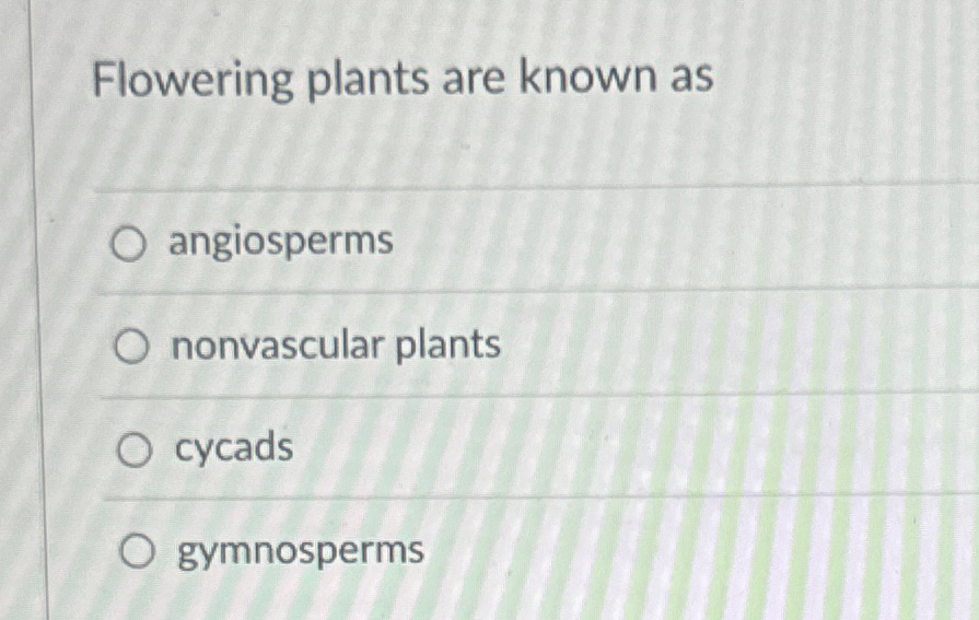Solved Flowering plants are known asangiospermsnonvascular | Chegg.com