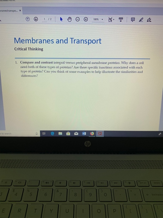 Solved Conpare and contrast integral versus peripheral | Chegg.com