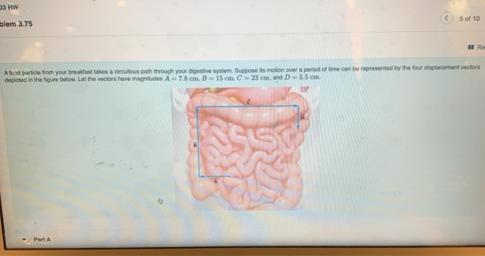 Solved 3 HW blem 3.75 5 of 10 A food particle from your | Chegg.com