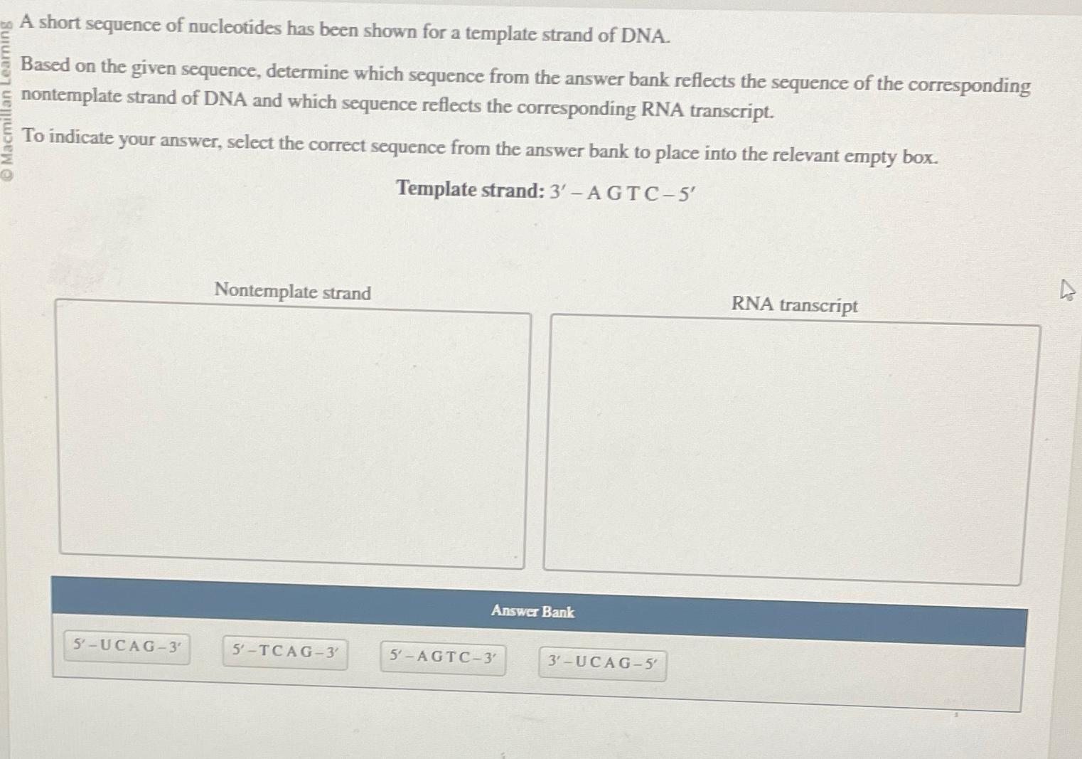 Solved A short sequence of nucleotides has been shown for a | Chegg.com