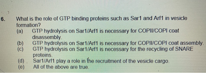 Solved EN The Signal Recognition Particle (SRP) that binds | Chegg.com