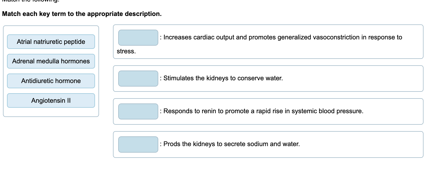 Solved Match each key term to the appropriate | Chegg.com