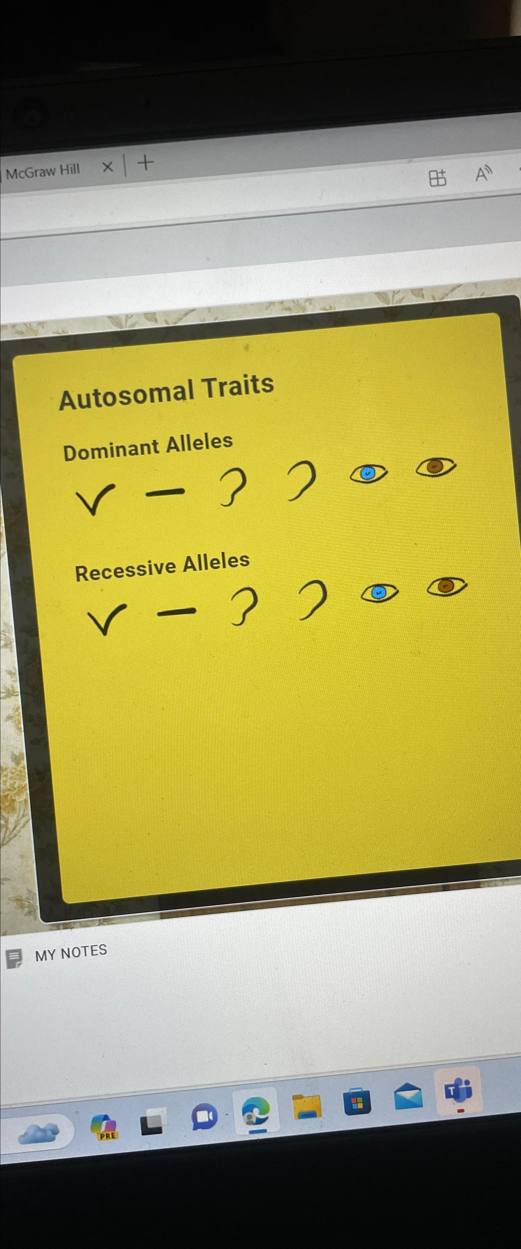 Solved Autosomal TraitsDominant Allelesv-3?Recessive | Chegg.com