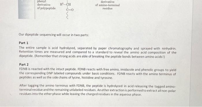 Solved EXPERIMENT #3: SEQUENCE DETERMINATION OF A DIPEPTIDE | Chegg.com