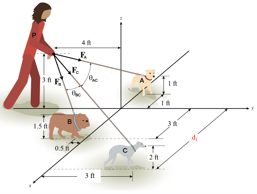 Solved A dog walker is walking 3 ﻿dogs who are all pulling | Chegg.com