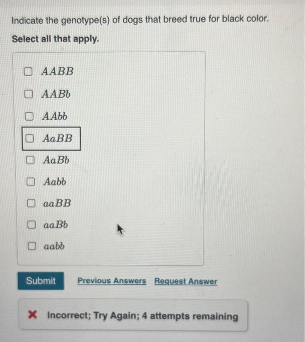 Solved Indicate the genotype(s) of dogs that breed true for | Chegg.com
