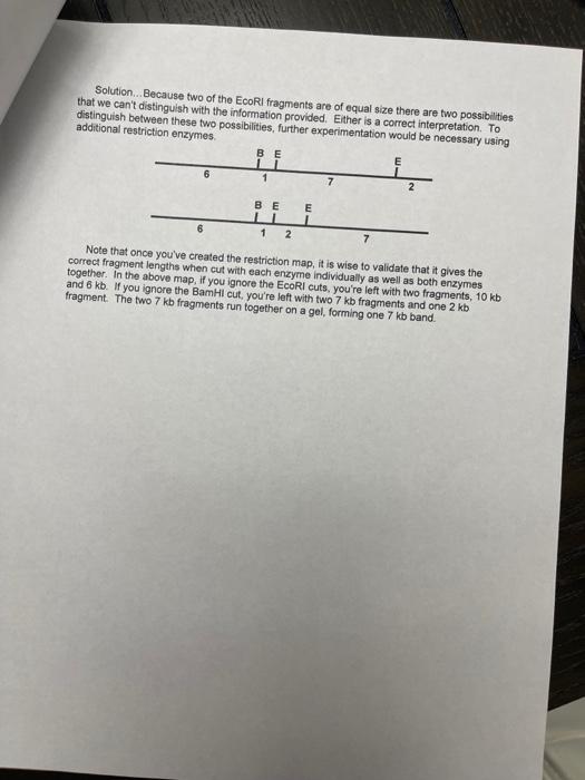 Solved Restriction Mapping Biol 2240 A restriction map is a | Chegg.com