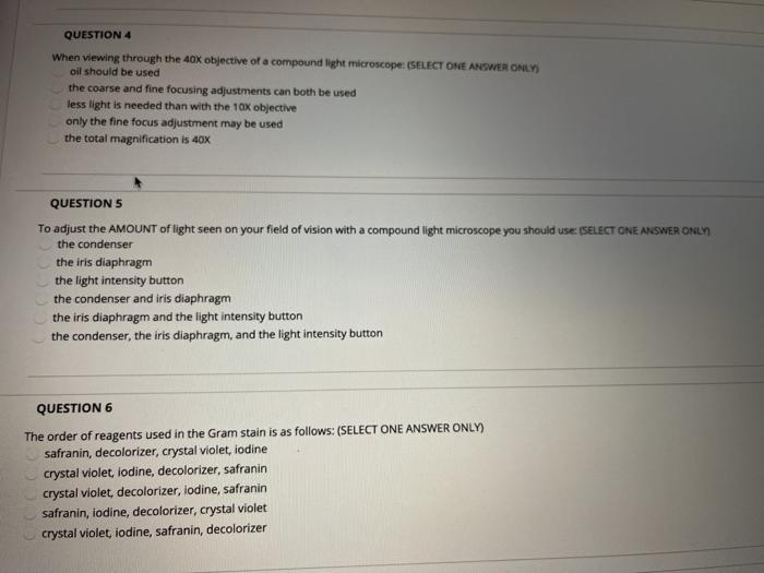 Solved QUESTION 1 What is the total magnification of a cell | Chegg.com
