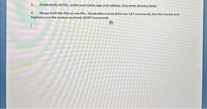 Solved StudentInfo.txt file - enter your name, age, and | Chegg.com