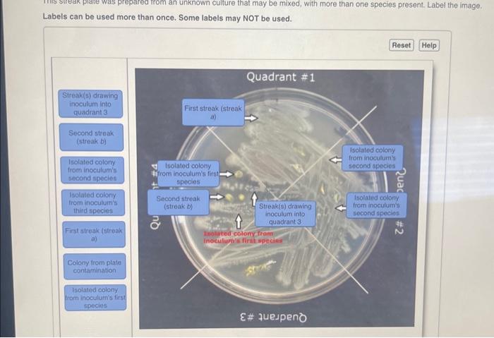 Solved Labels can be used more than once. Some labels may | Chegg.com