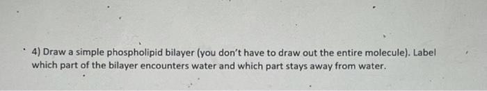 Solved 1) Draw an atom and label the subatomic particles. | Chegg.com