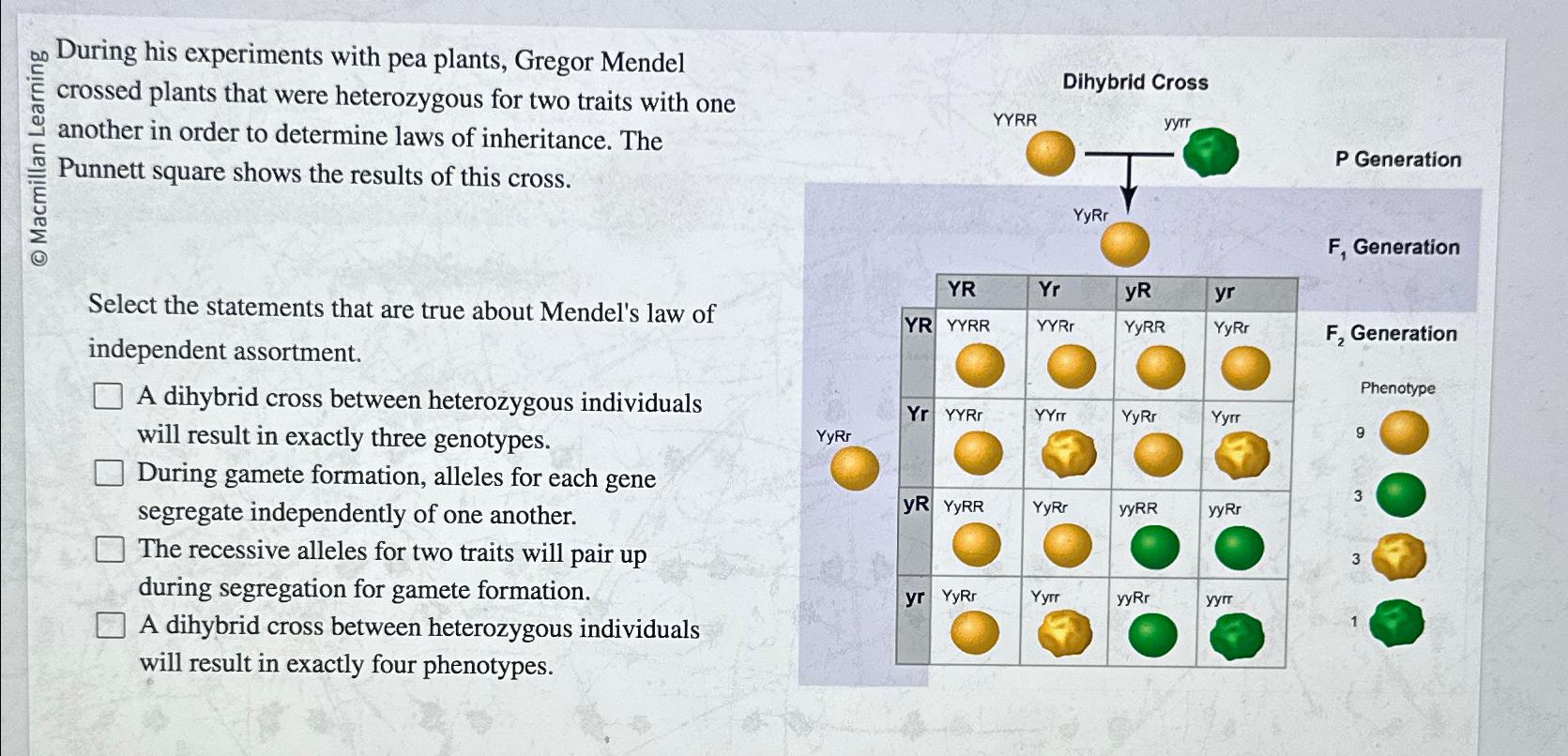 Solved During his experiments with pea plants, Gregor Mendel | Chegg.com