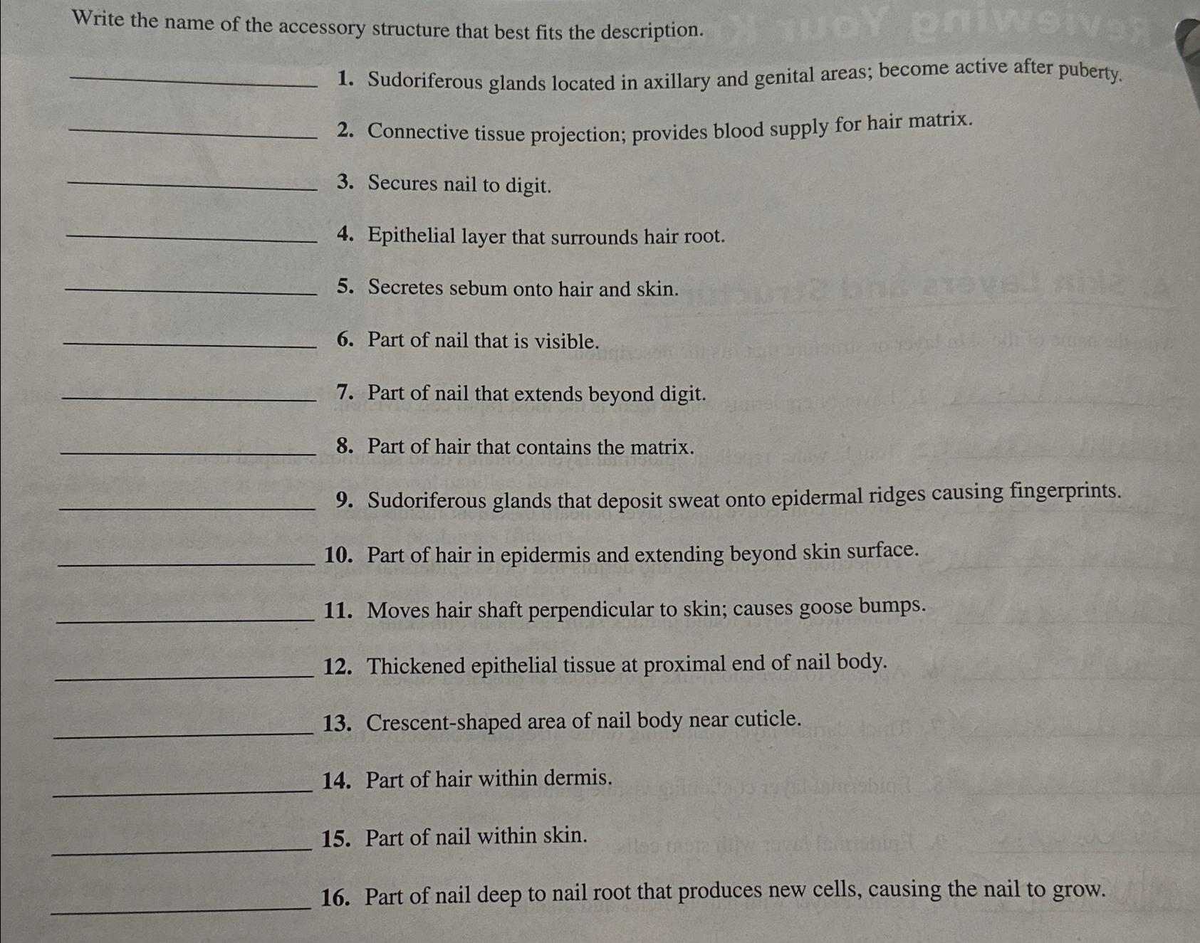 Solved Write the name of the accessory structure that best | Chegg.com