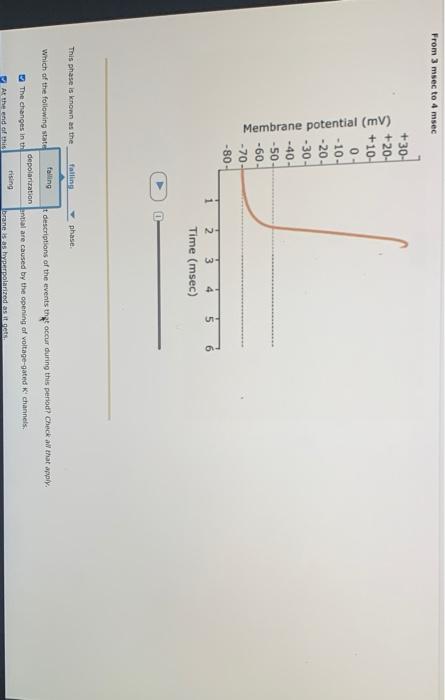 Solved From 2 msec to 3 msec Membrane potential (mv) +30- | Chegg.com