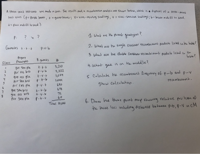 Solved A three-point test cross was mache in corn. The | Chegg.com