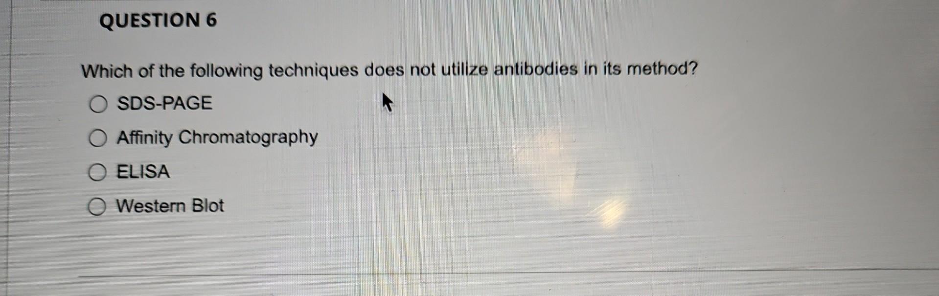 Solved Which of the following techniques does not utilize | Chegg.com
