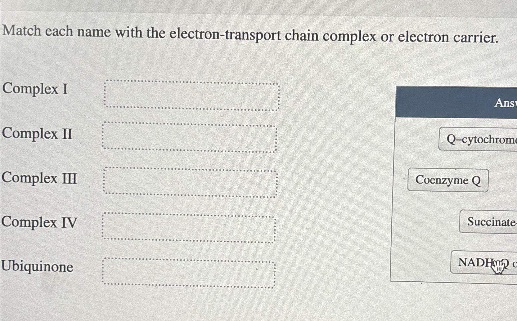 Solved Match each name with the electron-transport chain | Chegg.com